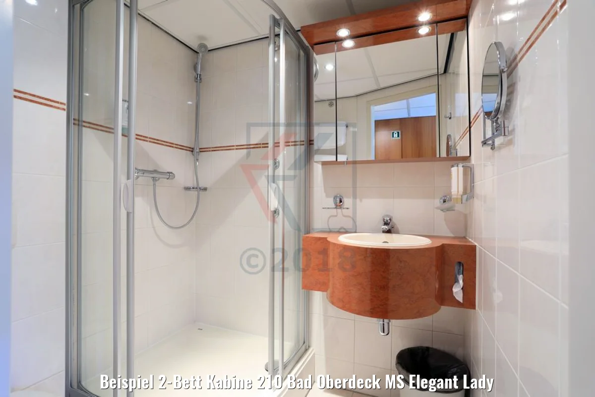 MS Elegant Lady Bilder, Kabinen, Innenansichten und 360-Grad ...